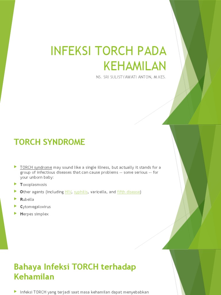 Infeksi Torch Pada Kehamilan | PDF | Pengembangan Diri | Kesehatan Holistik