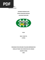 Patofisiologi Dan Pathway Low Back Pain | PDF