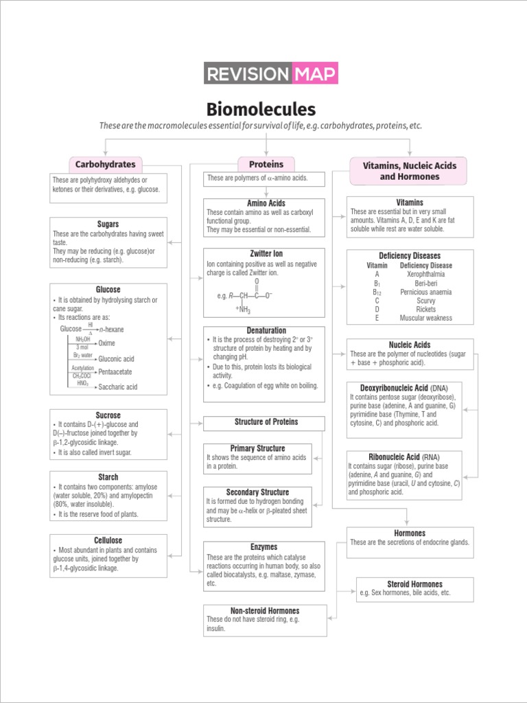 Biomolecules: Revision Map | PDF | Carbohydrates | Rna