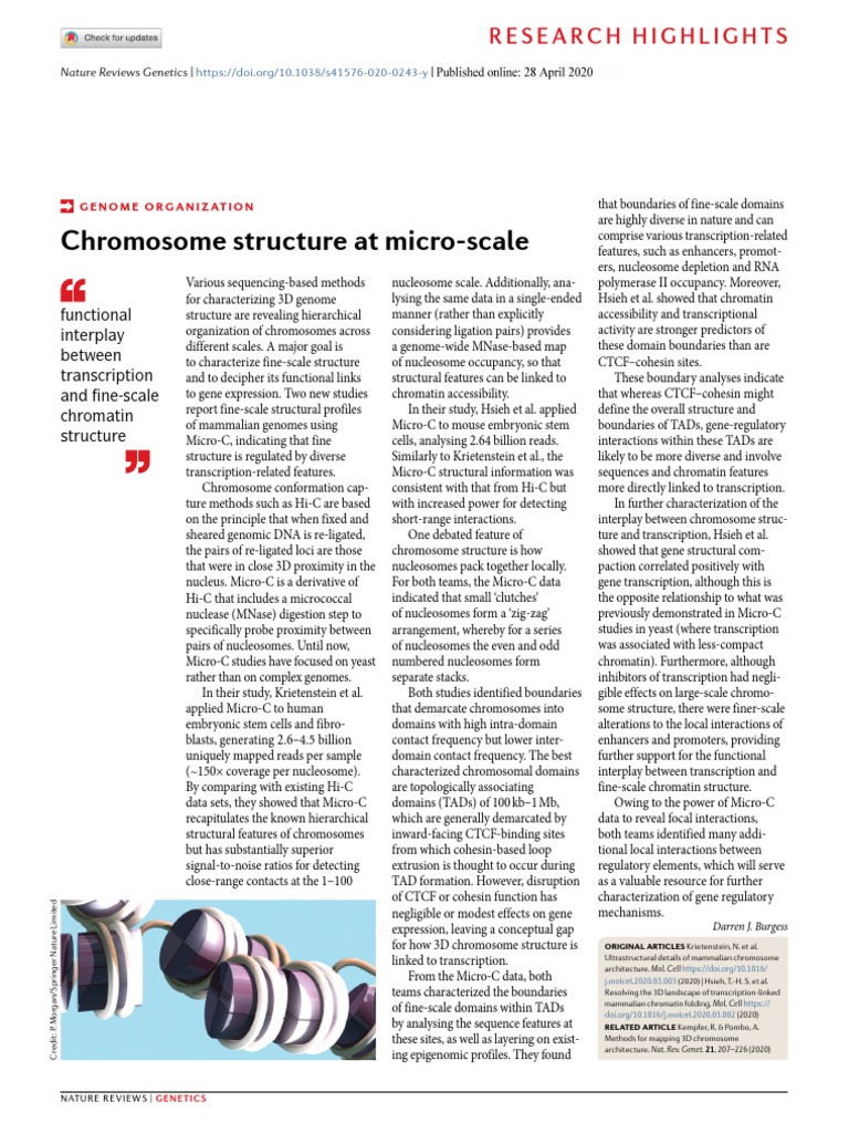 C HR Omosome Structure at Micro-Scale: Functional Interplay Between Transcription and Fine-Scale ...