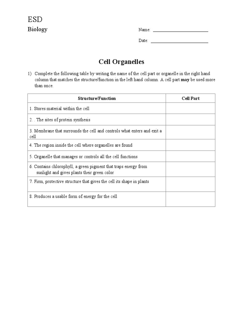 Organelles Worksheet | PDF