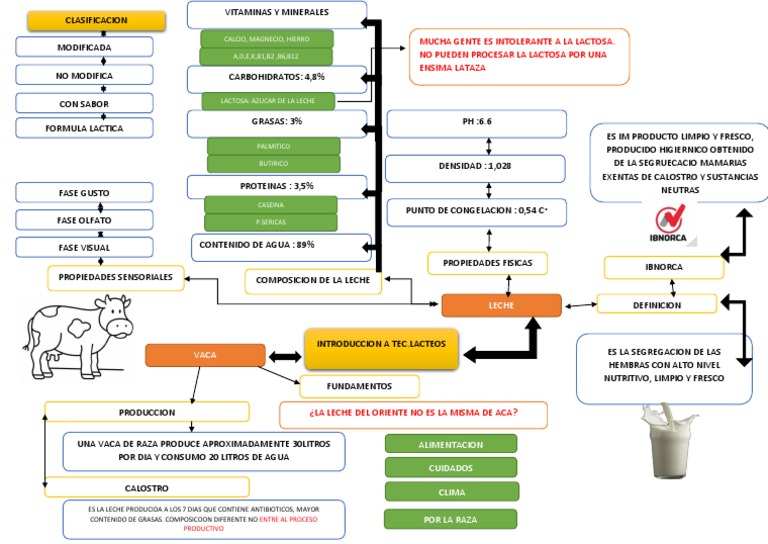 Mapa Mental Leche Intro 1 | PDF | Leche | Nutrición