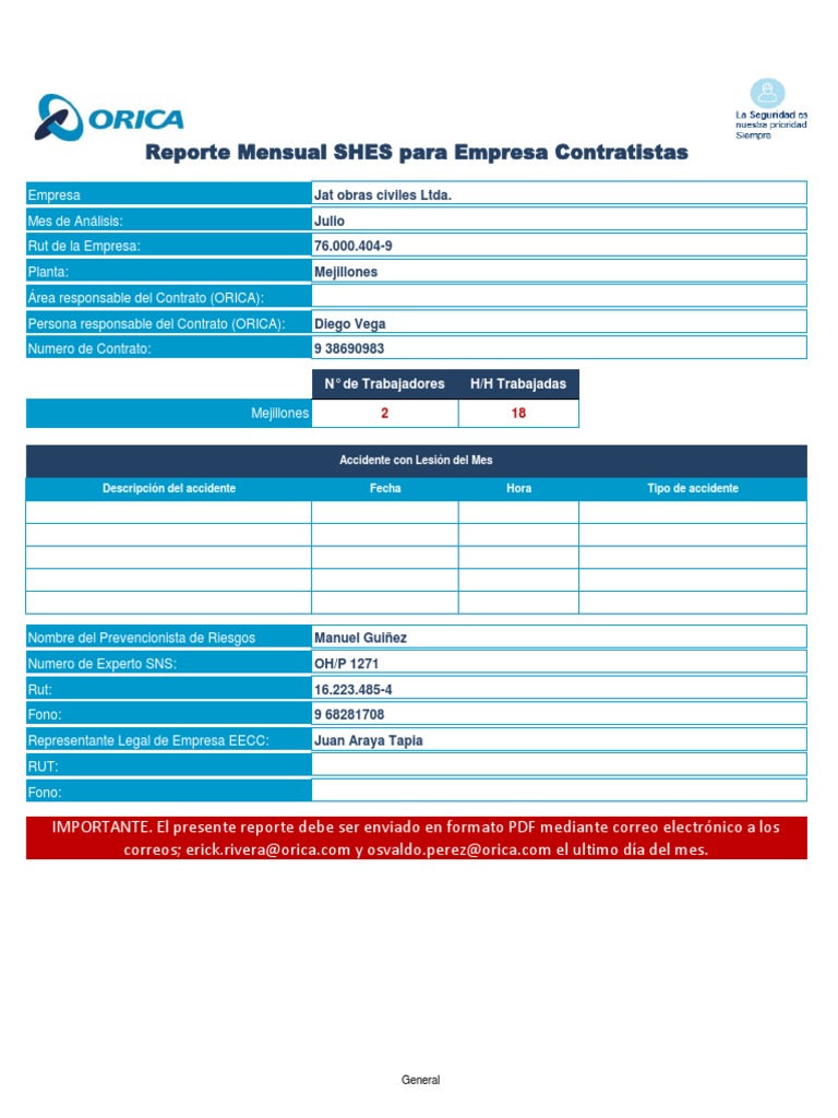 Modelo de Reporte Mensual SHES para EECC MEJ | PDF | Finanzas y dinero | Derecho
