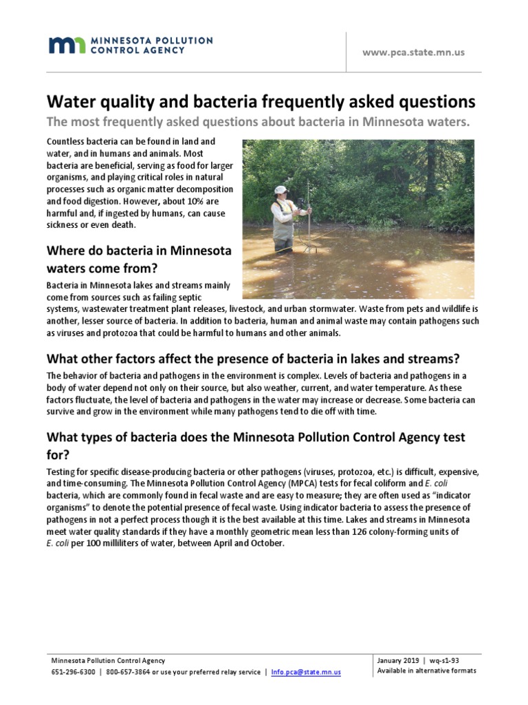 Water Quality Bacteria FAQ | PDF