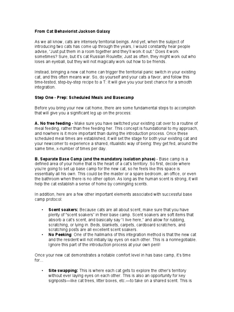 Introducing New Cats - Jackson Galaxy | PDF | Cats