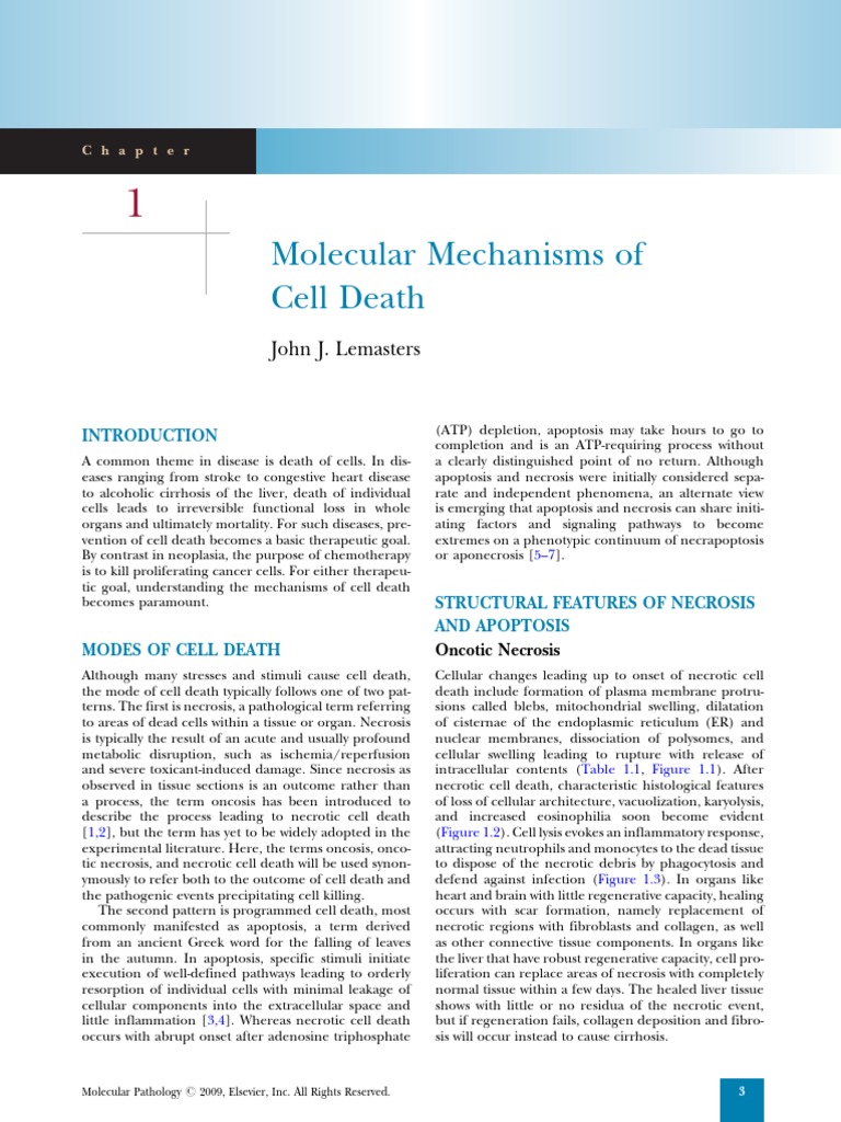 Chapter 1 - Molecular Mechanisms of Cell Death - 2009 - Molecular ...