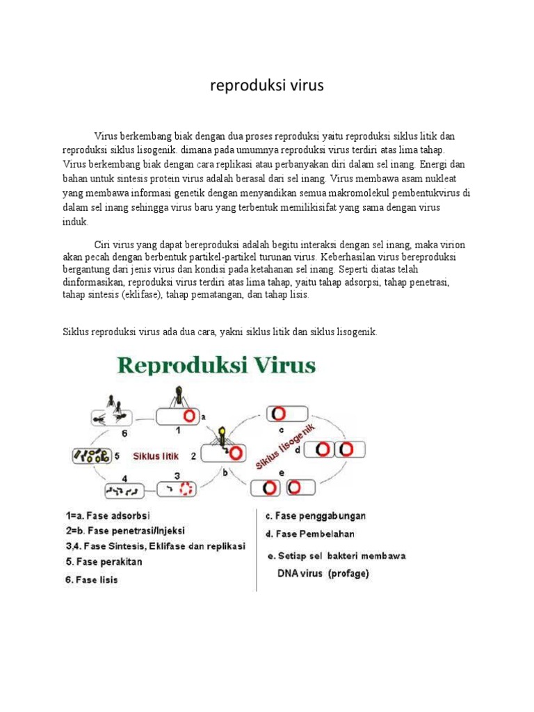 Reproduksi Virus | PDF