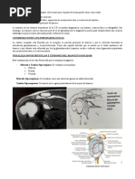 Radiografia-del-Hombro-Proyecciones-AP-Axilar-y-en-Y 2 Diapossss | PDF ...