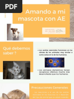 Que Es Un Sensorama | PDF | Aprendizaje | Neurociencia