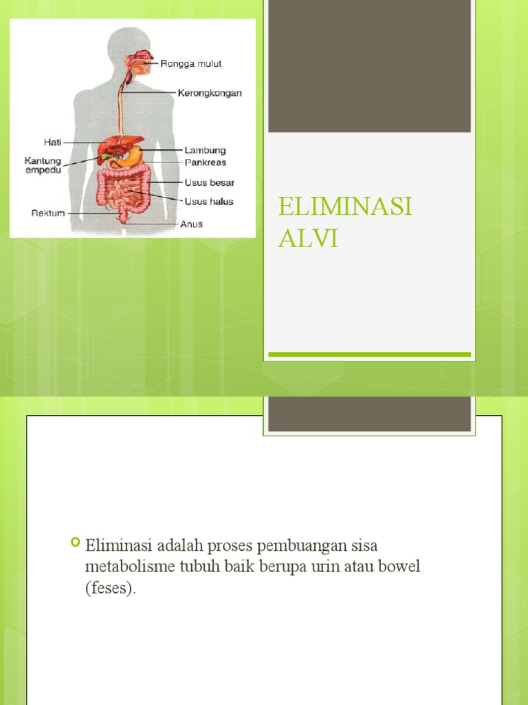 Eliminasi Alvi | PDF