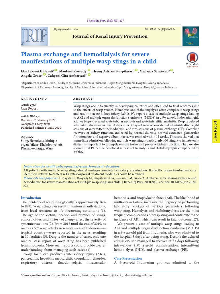 Jrip 9 E27 | PDF | Kidney | Renal Function