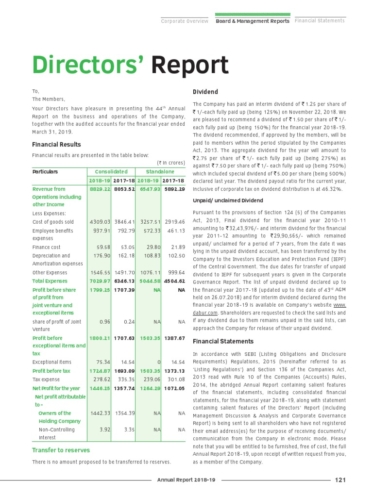 Dir Report | PDF | Internal Audit | Audit