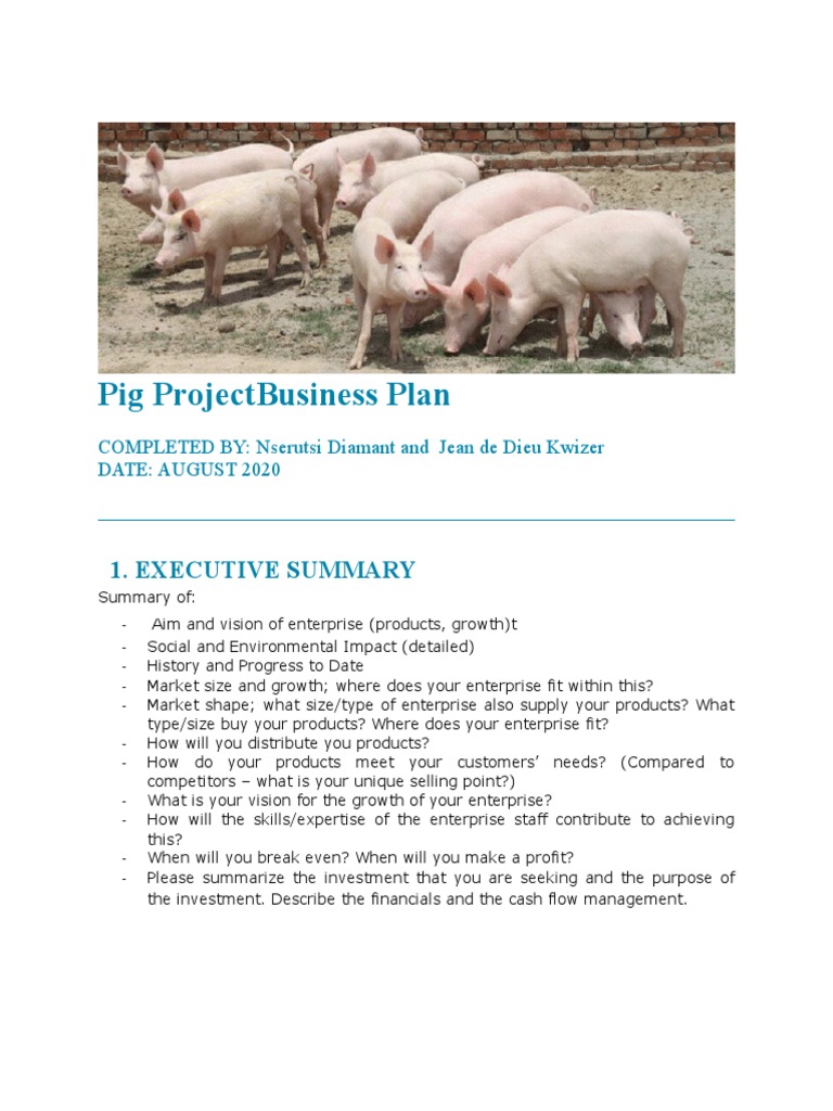Updated Business Plan of Pig | PDF | Domestic Pig | Loans