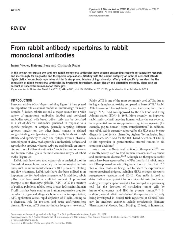 From Rabbit Antibody Repertoires To Rabbit Monoclonal Antibodies | PDF ...