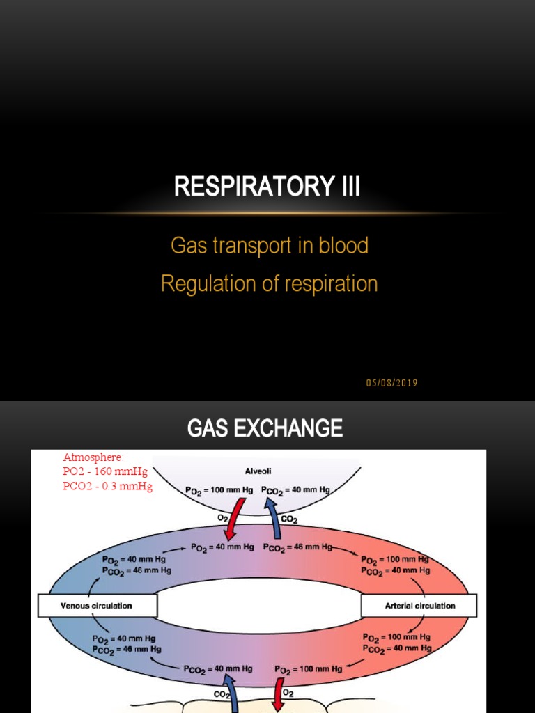 Respiratory Iii: Gas Transport in Blood Regulation of Respiration | PDF ...
