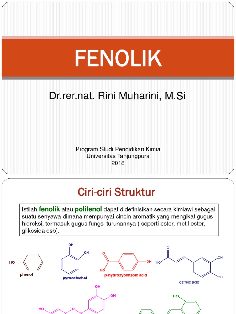 4 Fenolik PDF | PDF