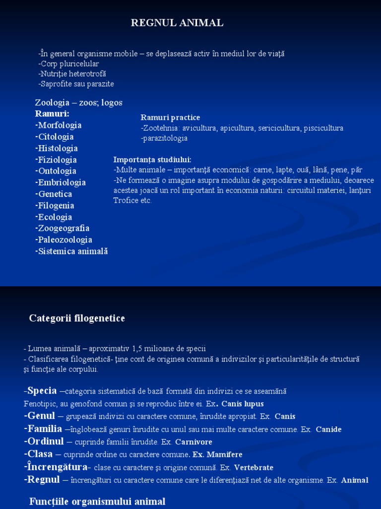 Regnul Animal | PDF