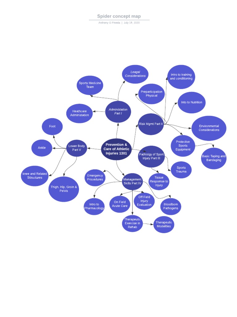 Spider Concept Map 1 | PDF | Physical Therapy | Medicine