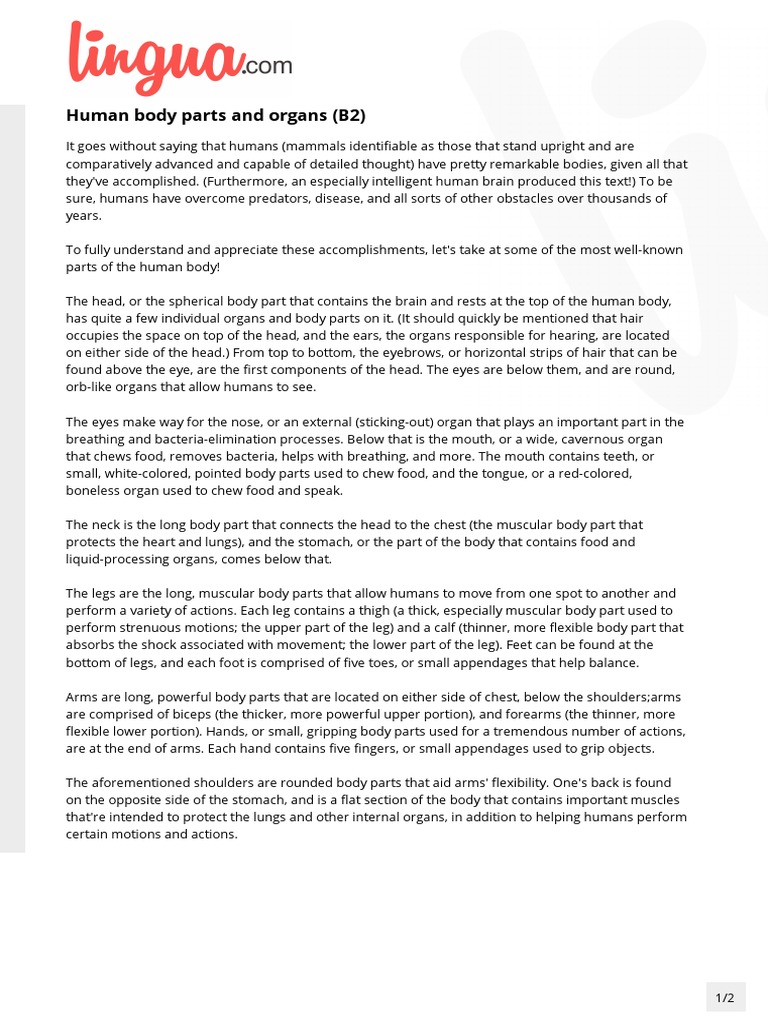 Human Body Parts and Organs | PDF | Hand | Arm