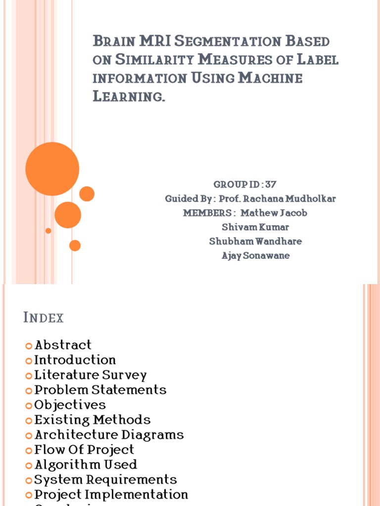 Brain MRI | PDF | Image Segmentation | Cluster Analysis