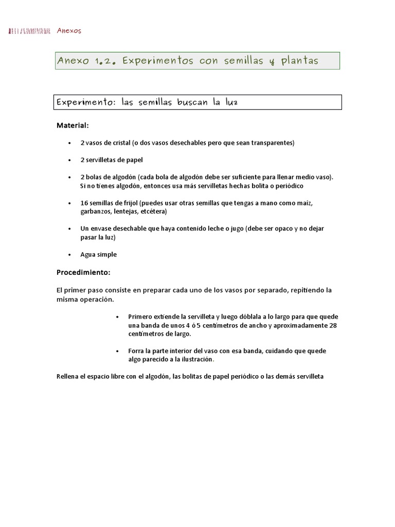 Experimentos de Germinación para Niños | PDF | Germinación | Plantas