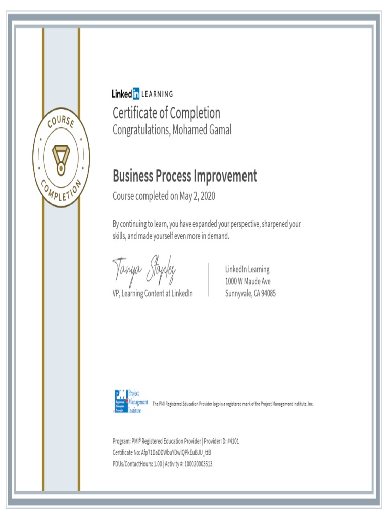 Business Process Improvement NASBA 1588547930 | PDF