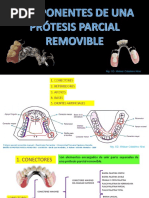 Clasificación de Winter | PDF | Ramas de Odontología | Boca