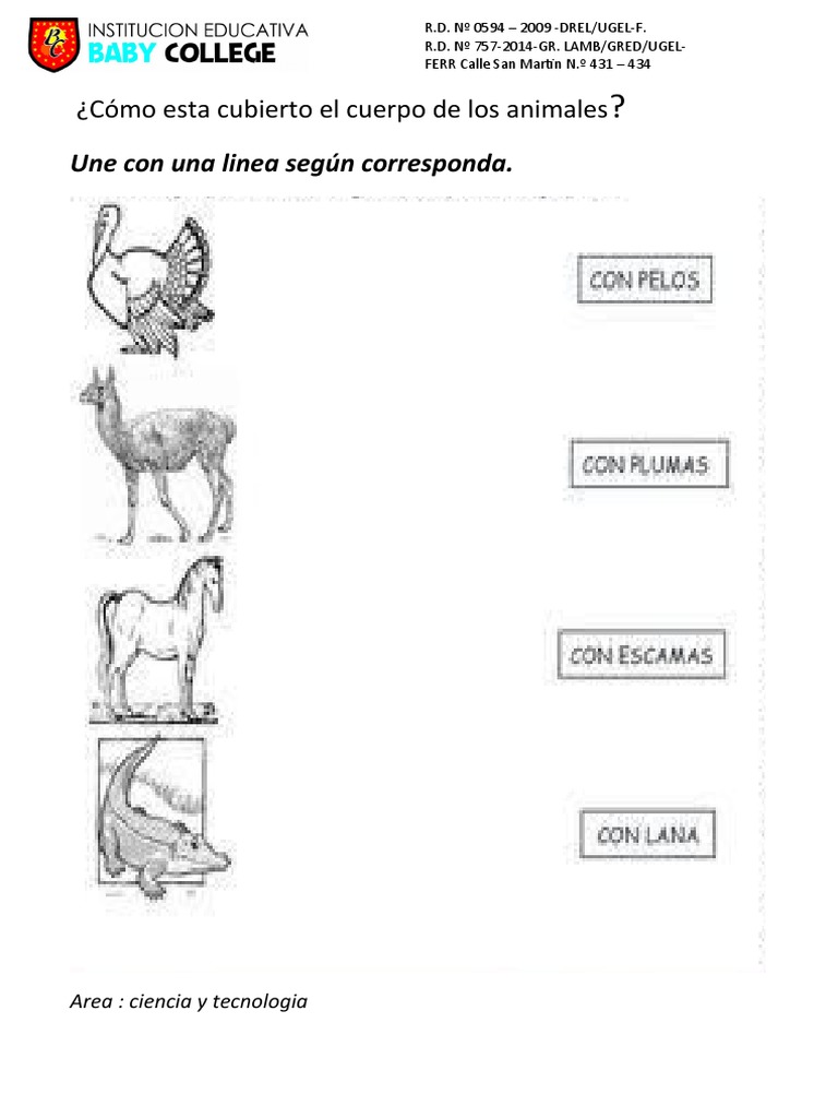 Cómo los animales están cubiertos: Una exploración de los tipos de ...