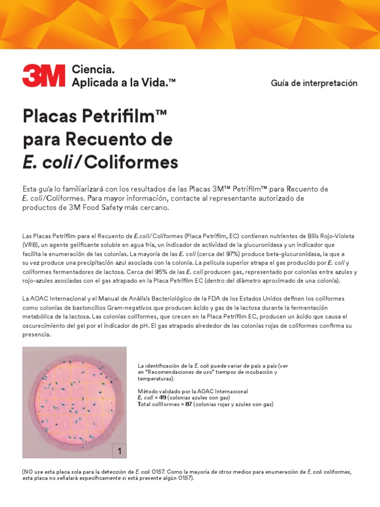 3M Petrifilm EC Guía de Interpretación PDF | PDF | Escherichia coli ...