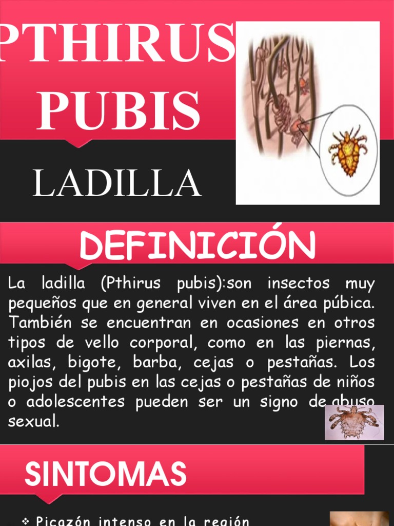 Ladillas Genitales | PDF | Enfermedades y trastornos | Especialidades ...