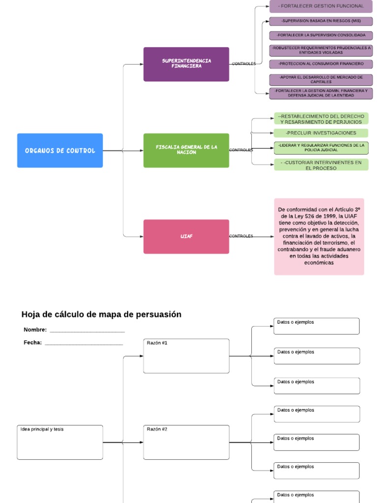 Mapa Conceptual - Organos de Control | PDF | Política | Business