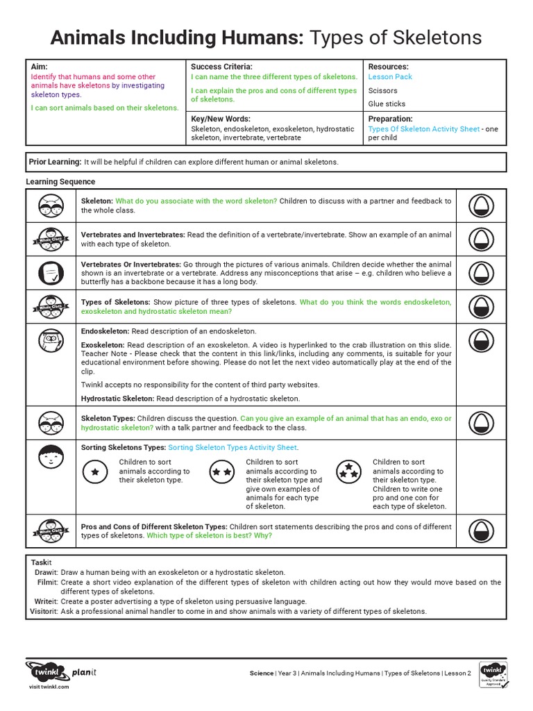 Lesson Plan Types of Skeletons | PDF | Skeleton | Invertebrate