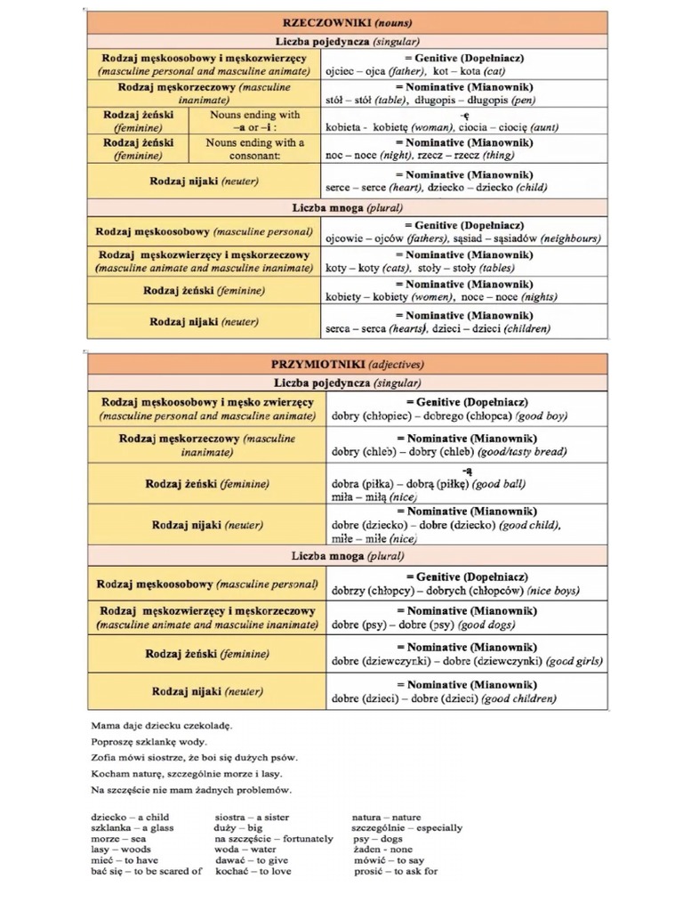 Biernik Slides | PDF