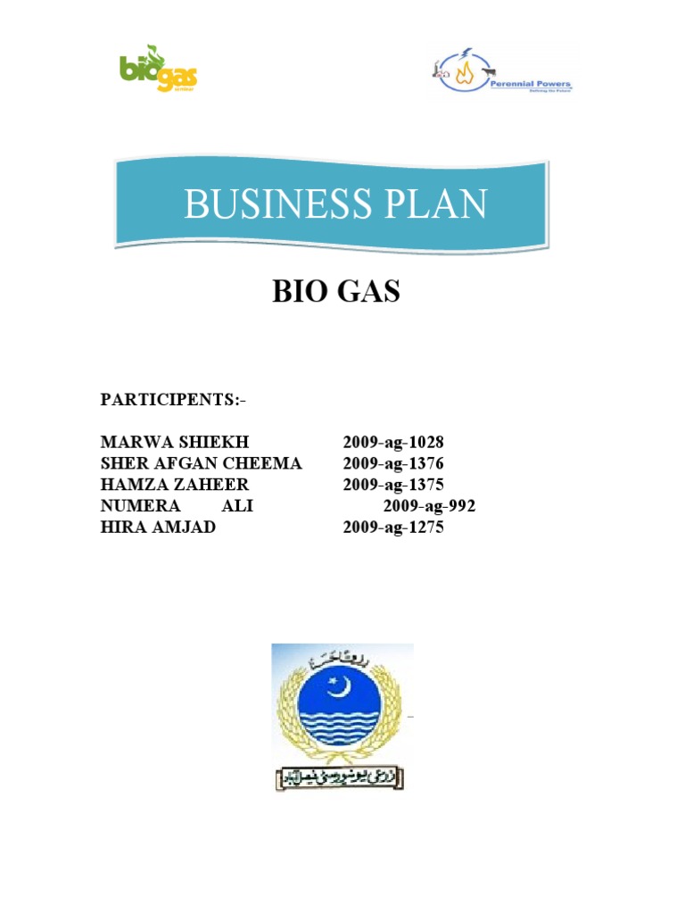 Business Plan: Bio Gas | PDF | Biogas | Energy Industry
