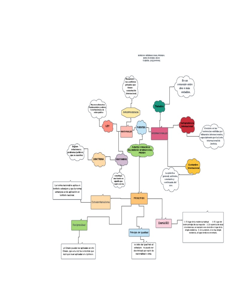 Tarea Mapa Mental Dipr PDF | PDF | Caso de ley | Ley internacional