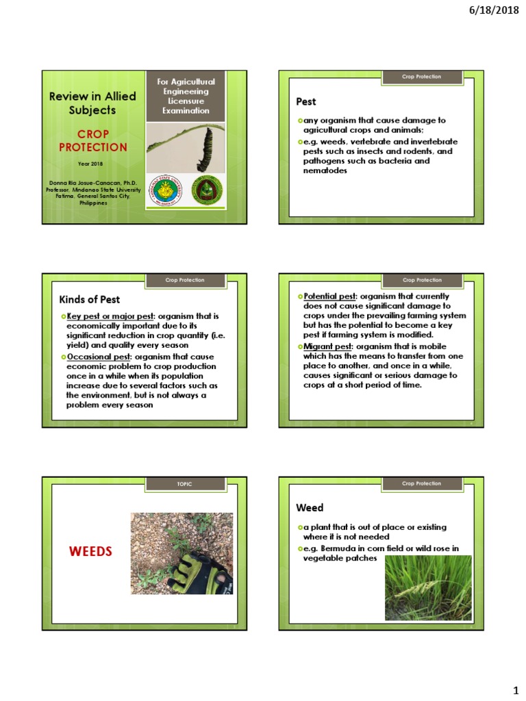 Understanding Crop Protection: A Review of Agricultural Pests and Weed ...