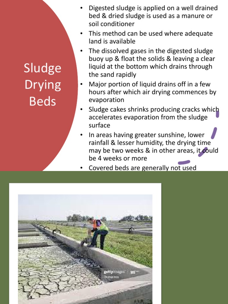 Design of Sludge Drying Beds | PDF | Sewage Treatment | Water Treatment