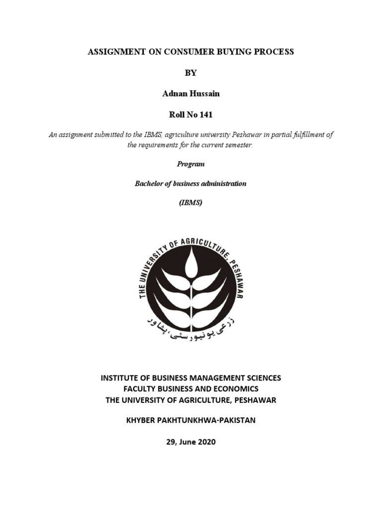 Assignment On Consumer Buying Process | PDF | Microeconomics | Business