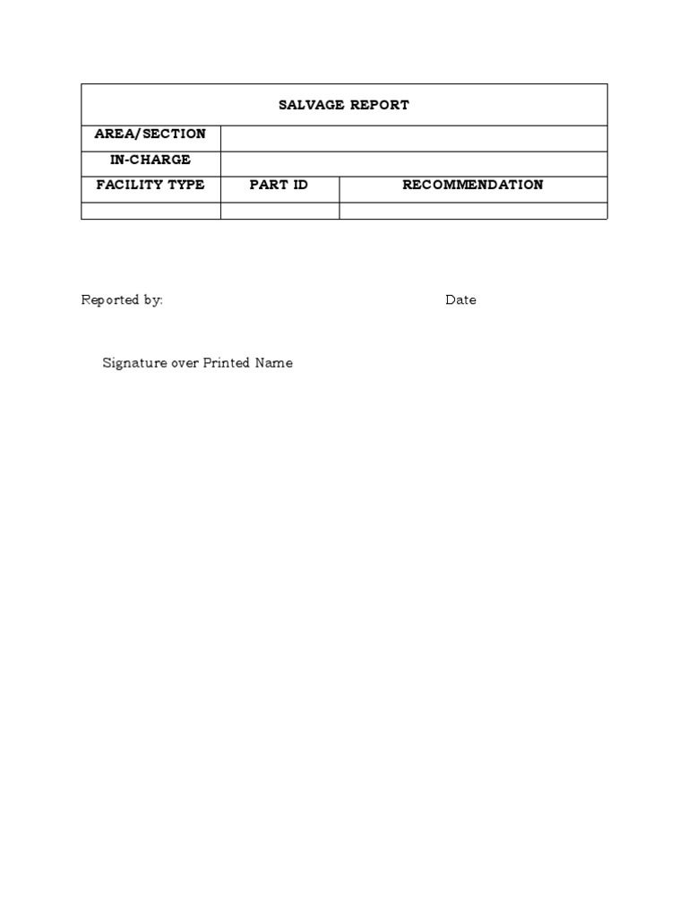 11 Salvage Report | PDF