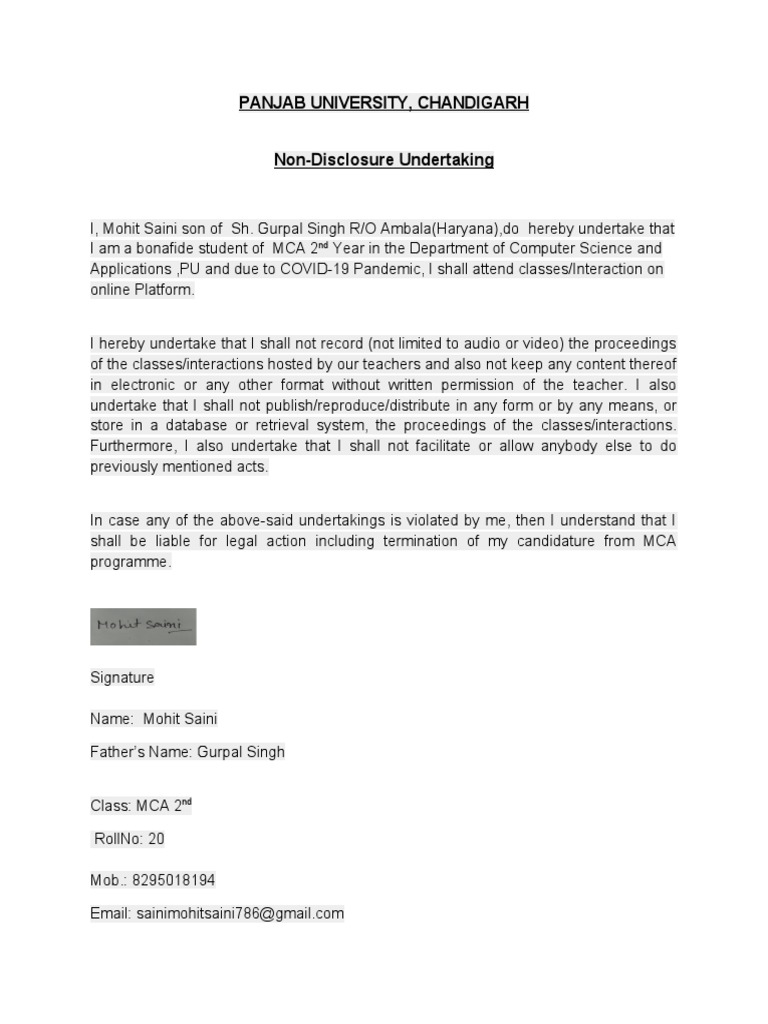 Non-Disclosure Undertaking 2020 | PDF