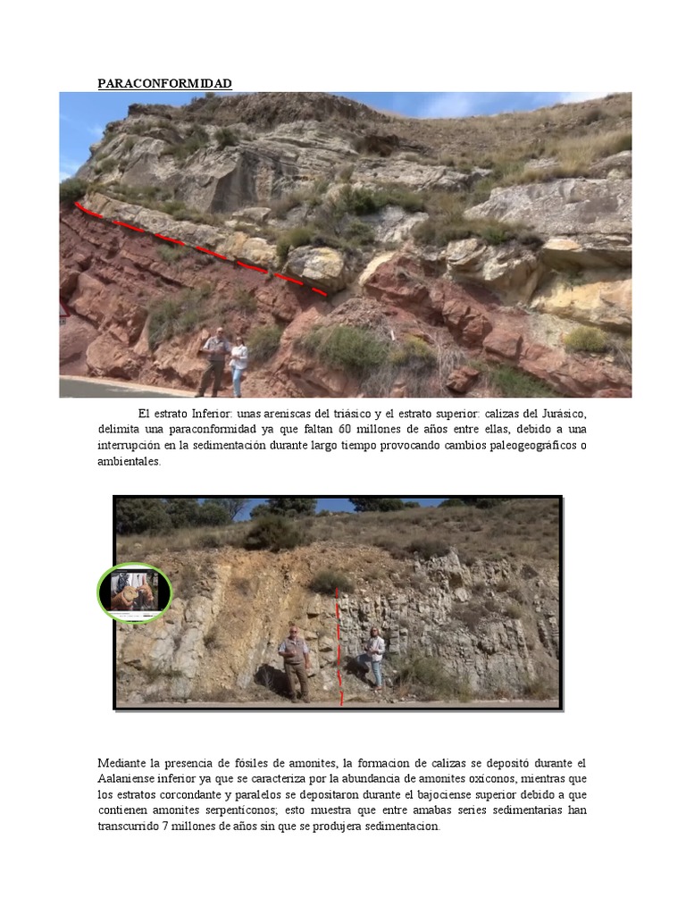CONCORDANCIA-PARACONFORMIDAD Ejemplos | PDF