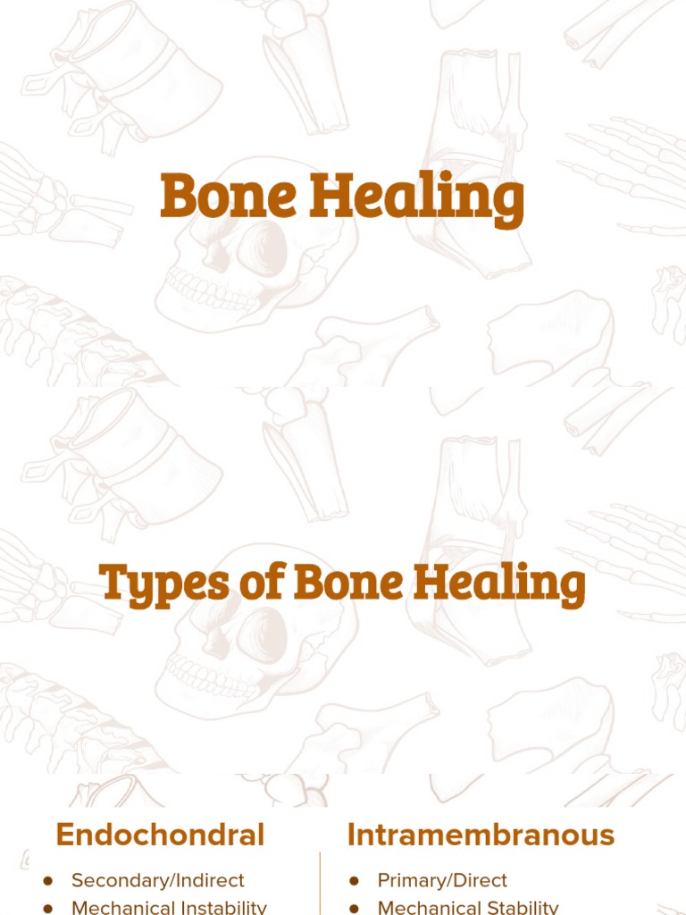 Bone Healing PDF | PDF