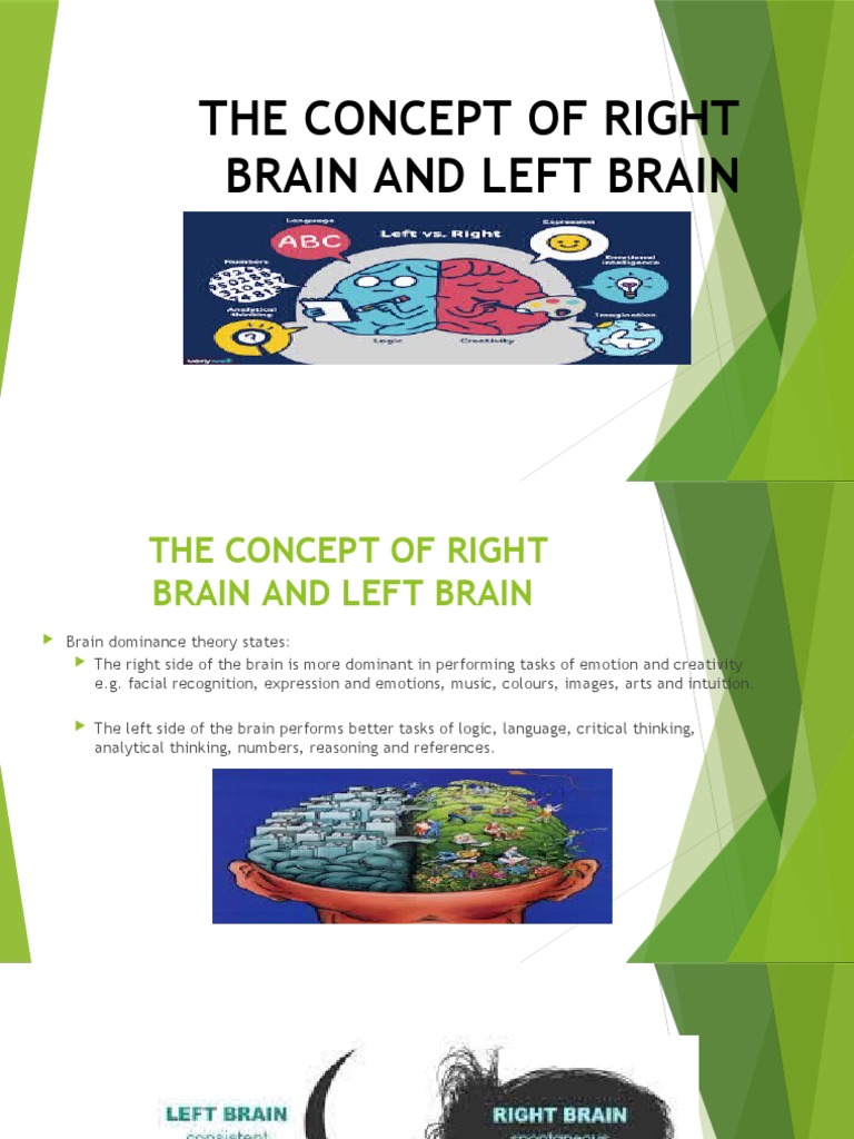 The Right Left Brain | PDF