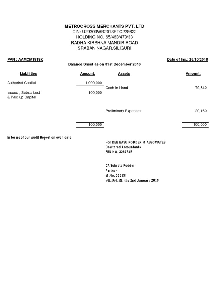 Initial Balance Sheet | PDF