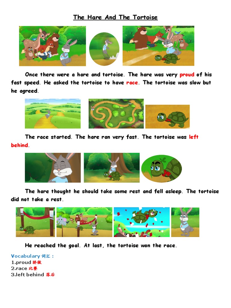 The Hare and The Tortoise | PDF