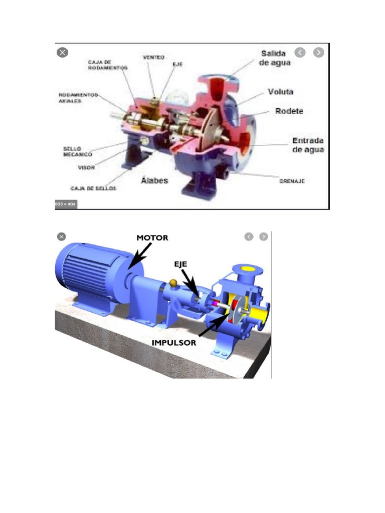 Tipos Bombas de Agua Partes Como Funciona