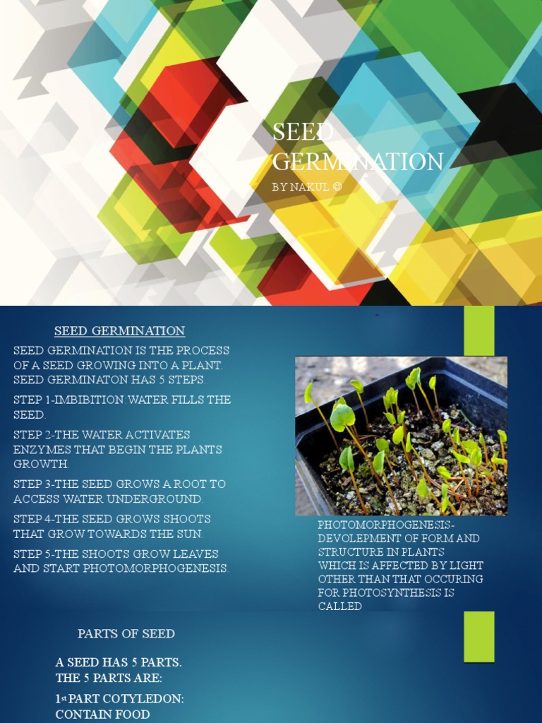 Steps and Conditions for Seed Germination | PDF