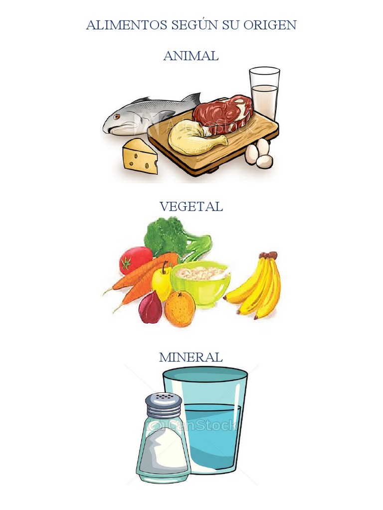 Clasificación de Alimentos por Origen | PDF