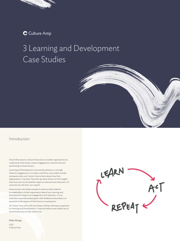 3 Learning and Development Case Studies | Download Free PDF | Airbnb | Strategic Management