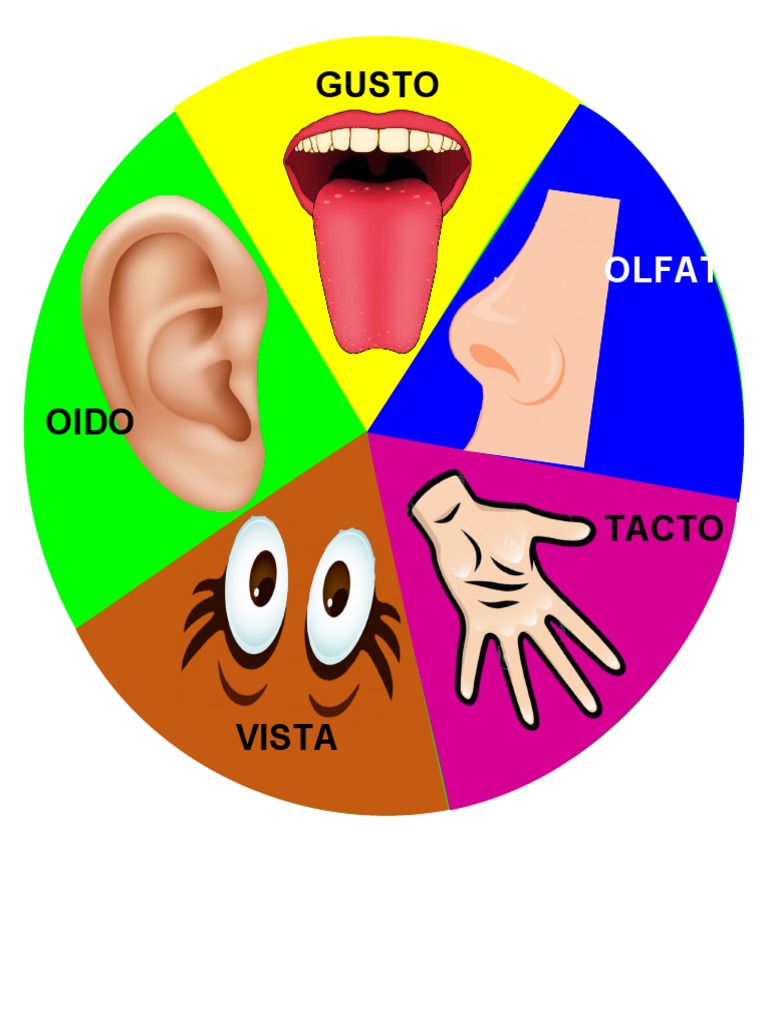 Ruleta de Los 5 Sentidos | PDF